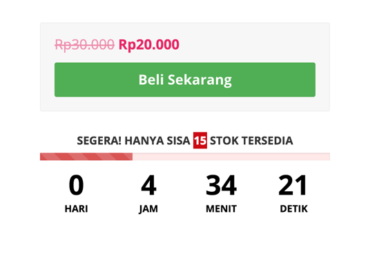 Evergreen Countdown Timer Wordpress Plugin Wpbisnis Solution
